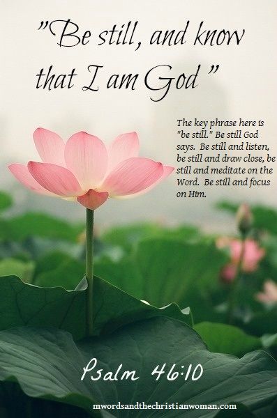 Be still and know Me, saith the Lord… – SB SALT AND LIGHT MINISTRIES